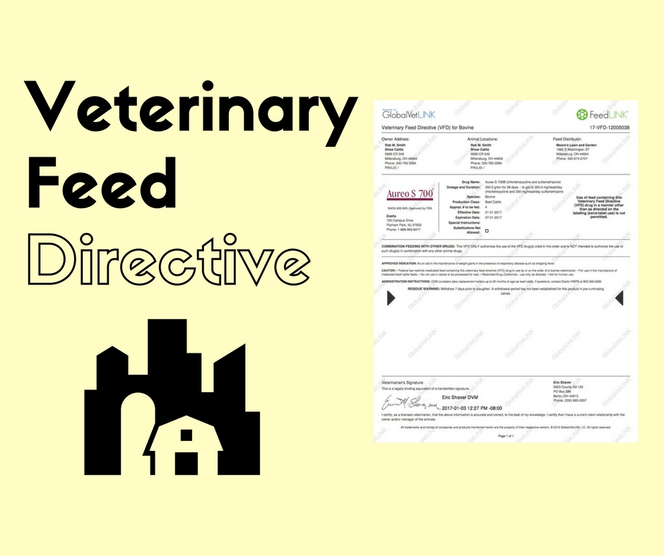 4 Things to Keep in Mind Since the Implementation of the VFD